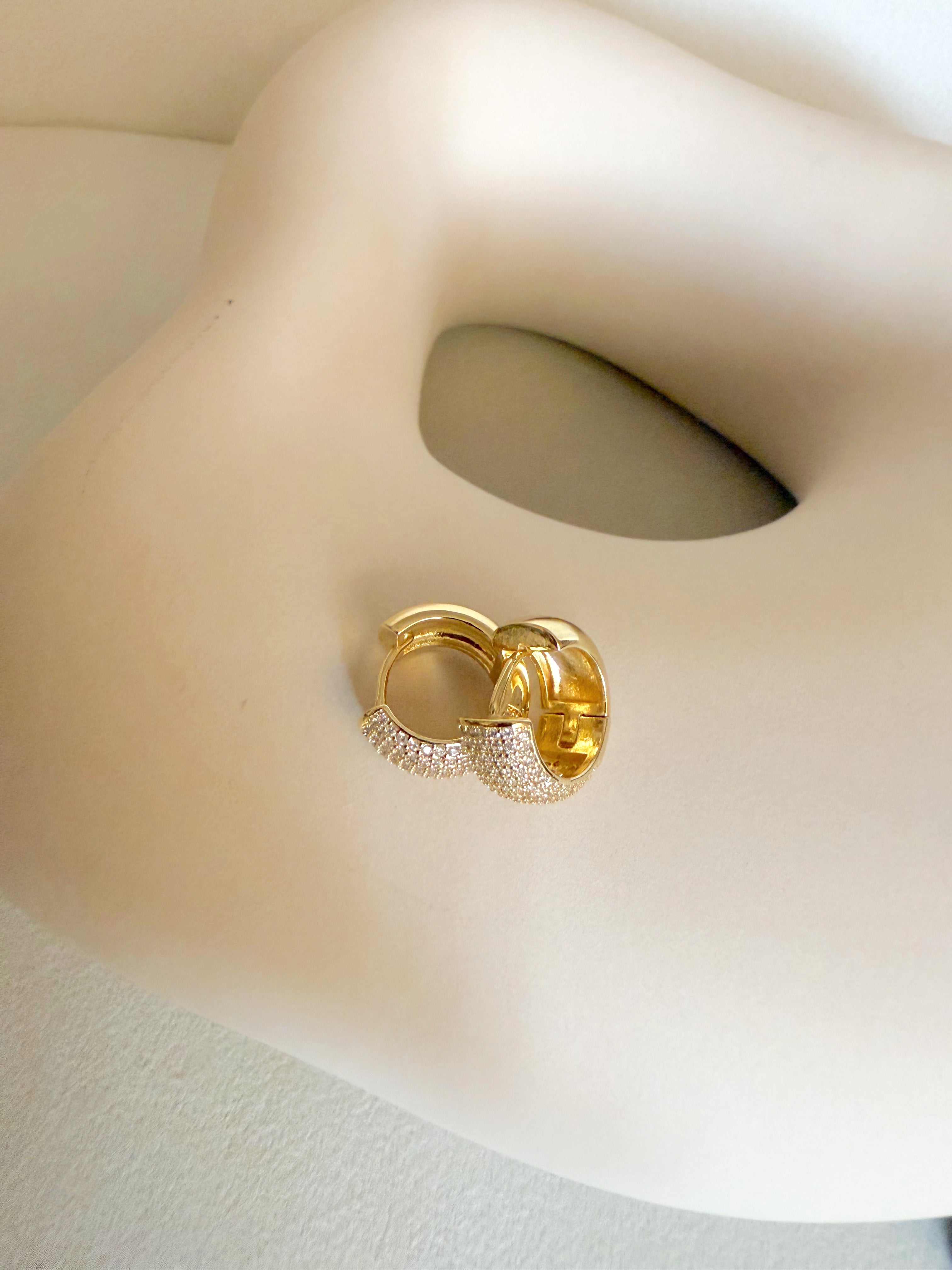 Micropave Hoop Earrings – Vita Ambita